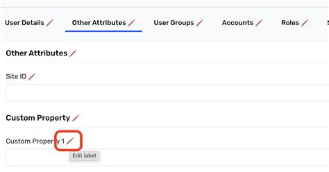 updating user custom property labels in saviynt
