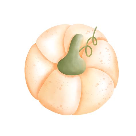 Colorful Cute Pumpkins In Autumn 32886475 Png