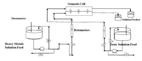 Schematic Diagram Of Forward Osmosis Process Download Scientific Diagram
