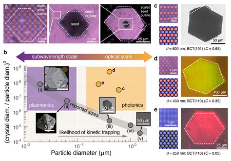 Single Crystals From Optical Scale Particles Can Grow To Macroscopic