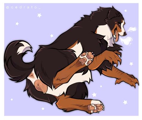 Rule 34 Anatomically Correct Anatomically Correct Genitalia