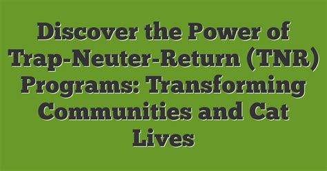 Discover The Power Of Trap Neuter Return Tnr Programs Transforming