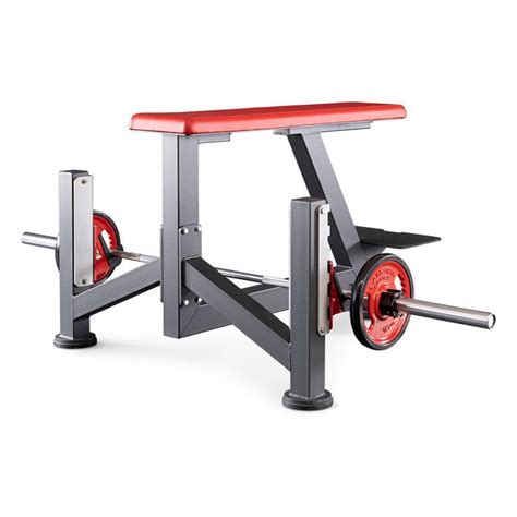 Strengthen Your Back With Seal Row Bench