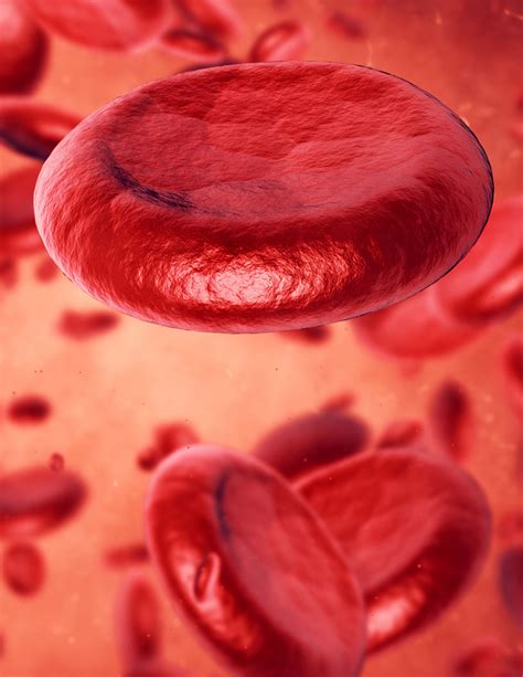 Global Red Biotechnology Market 2024 2028