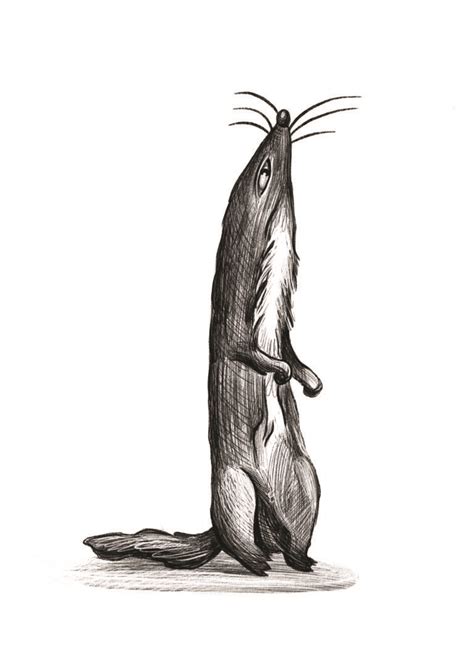 Your Path To An Effective Ehcp Sen Magazine