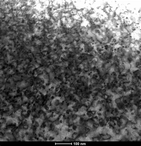 Transmission Electron Microscopy Of Ion Irradiated Ods Ma956 Samples