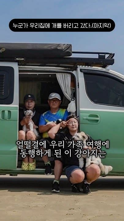 누군가 우리집에 개를 버리고 갔다 마지막 이야기 Youtube