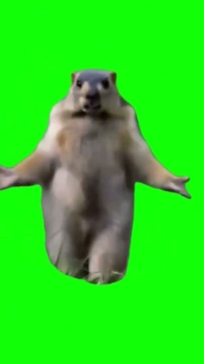 Dancing Beaver Ai Beaver Youtube