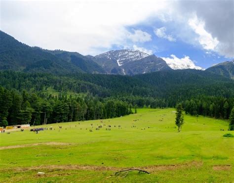 Pahalgam A Complete Travel Guide And Itinerary 2024 2025tripmore