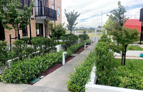 Community Design Bernoulli Garden Apartments By Greenbridge Homes And Landscapes Archipro Nz