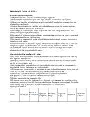 Lab Activity Docx Lab Activity Protists Lab Activity Basic Characteristics Of Protists