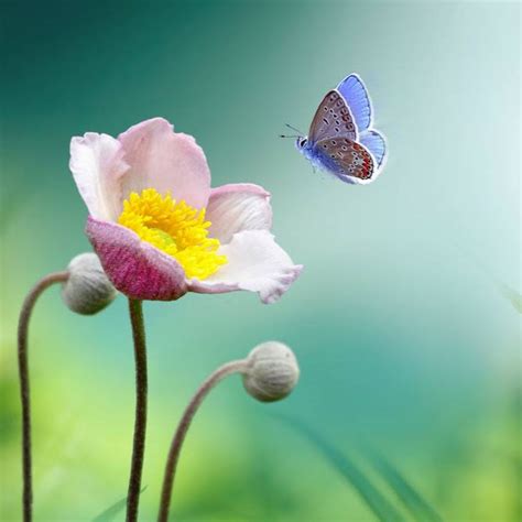 Giuliana Ramirez Velasco Youtube