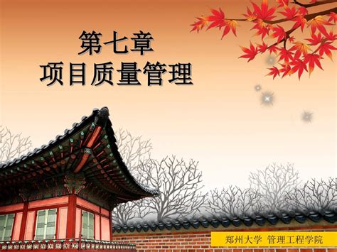 第七章项目管理word文档在线阅读与下载无忧文档