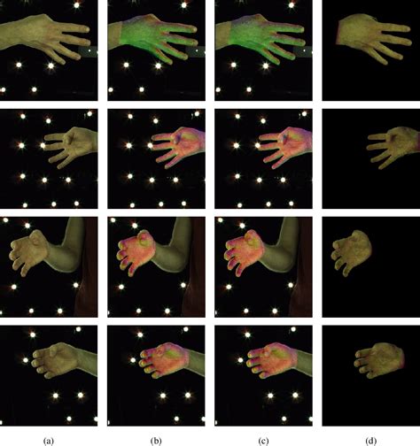 Figure 3 From Dynamic Multiview Refinement Of 3d Hand Datasets Using