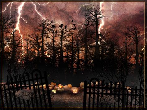 Pumpkin Patch Wallpapers Wallpaper Cave