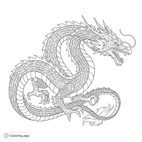 Majestic Eastern Dragon Coiled Coloring App
