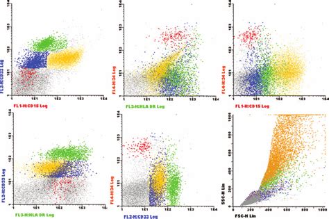 Cell Populations With Phenotypes Corresponding To Defined Aml Patterns