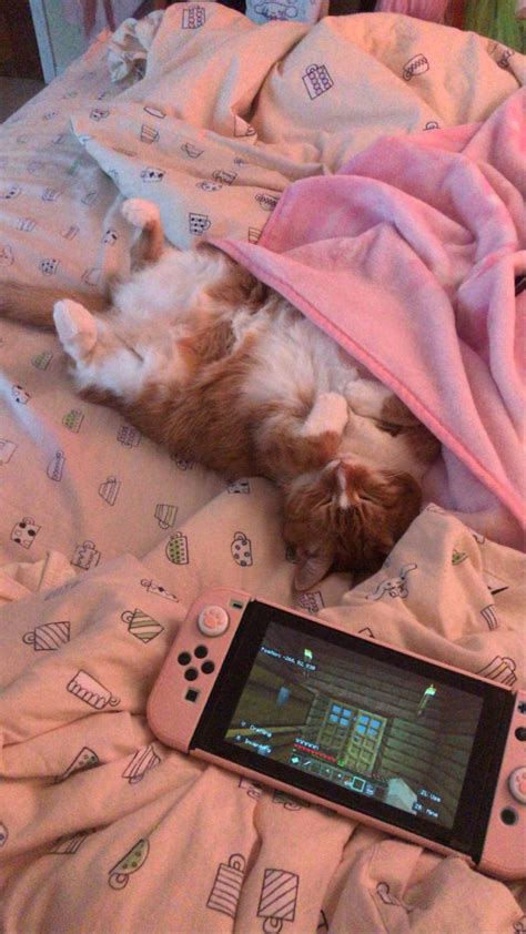 Catcore Kawaii Aesthetic