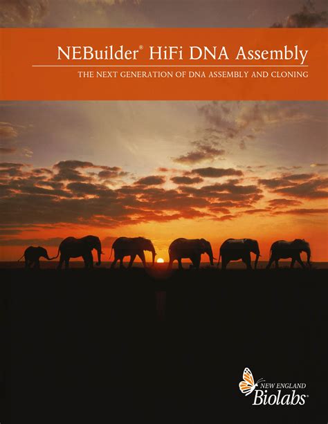 Catalogs And Literature New England Biolabs Gmbh