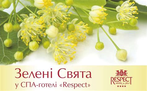 Зелені Свята СПА-готель «Респект Карпати» Східниця