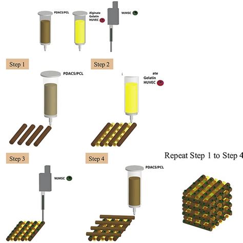 Schematic Diagram Of The Bioprinting Process First A Framework Was