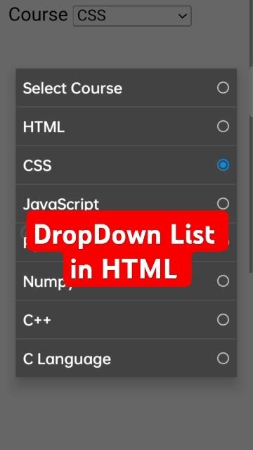 Dropdown List In Html Youtube