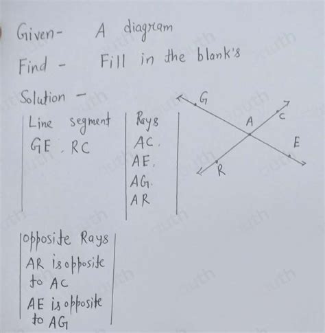 solved i name all the segments rays and opposite rays in the figure