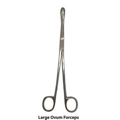 Ss Polished Large Ovum Forceps Sizedimension 10inch Length At Rs