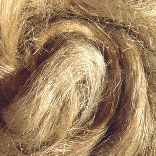 Schematic View Of Natural Fibers A Ramie B Hemp And C Coir