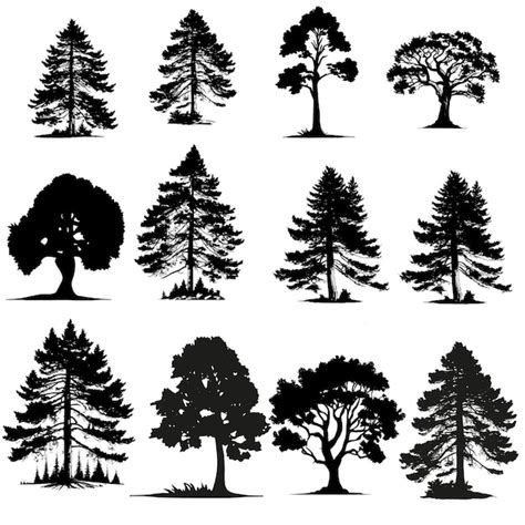 Black White Tree Silhouette At Becky Stever Blog