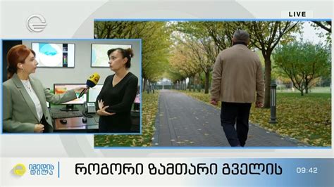 როგორი ზამთარი გველის Youtube