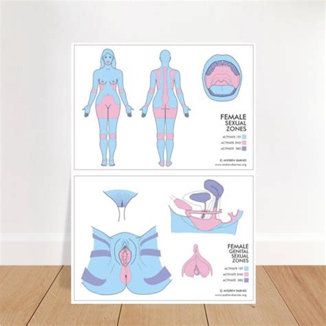Female Sexual Energy Zone Map