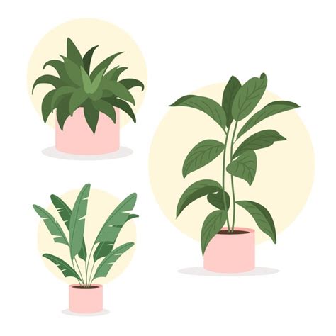 175 Cute Vas Royalty Free Photos And Stock Images Shutterstock