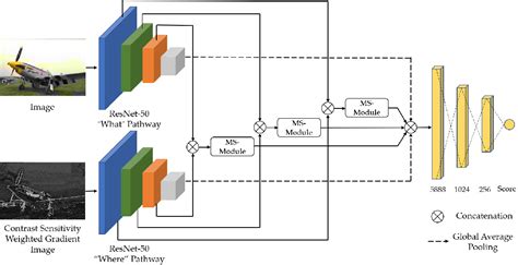 Figure 1 From Using Hvs Dual Pathway And Contrast Sensitivity To Blindly Assess Image Quality