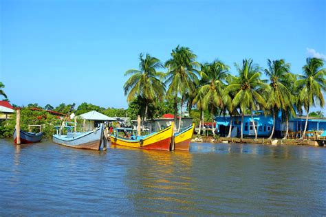 Suriname Travel Guide 2026 Top Regions Cities History And Food
