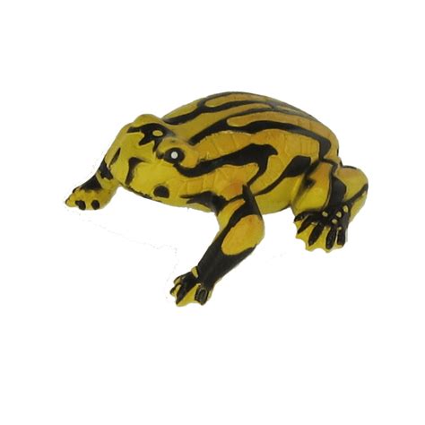 Corroboree Frog Replica By Science And Nature