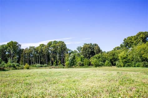 Premium Photo Plot With A Lawn In The Forest Plot Prepared For Sale