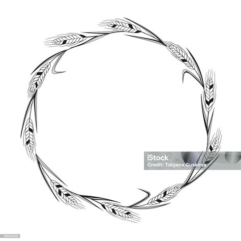 밀 보리 곡물의 귀와 프레임 흑백 벡터 현실적인 스케치 밀 귀 전체 귀 농업 식물 보리 및 호밀 작물 밀가루 생산g 곡물 밀가루 생산의 그림 벡터에 대한 스톡 벡터 아트 및