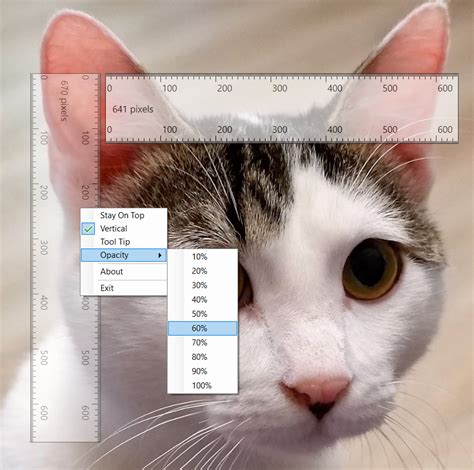 github ediwang ruler winforms ruler renewed with 8