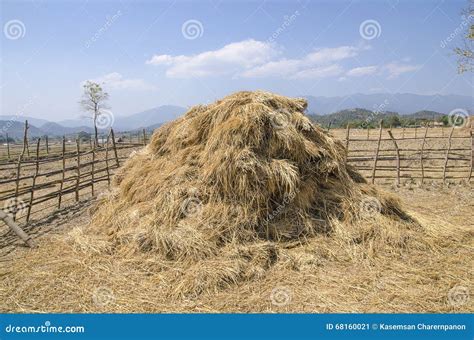 Straw Hat On A Haystack In The Field Summer Background Rusting