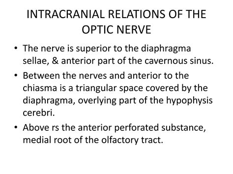 Anatomy Of Optic Nerve Pptx