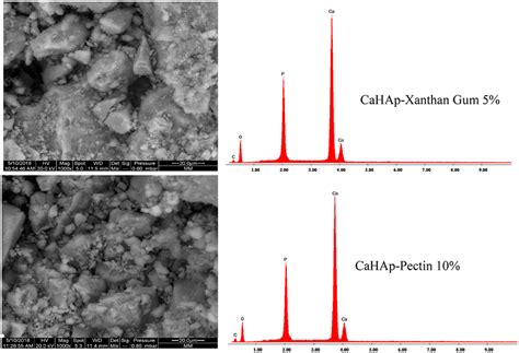 Calcium Hydroxyapatite Powders Functionalized With Xanthan Gum And Pectin Biopolymers Synthesis