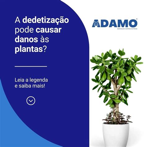 Diego Paz Hermel Posted On Linkedin