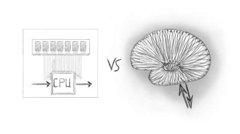Alain Airom On Linkedin Brain Vs Computer Principles Of Information Encoding