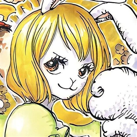 𖢲 ׄ ۪ ۪ Carrot 🐰🥕 One Piece Manga One Piece Photos One Piece Images