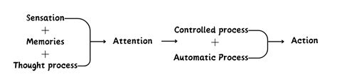 Attention Definition Types Theories Manas Chronicles