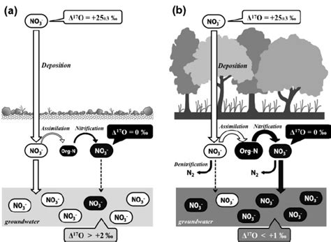 Schematic Diagrams Showing The Biological Processing Of Atmospheric