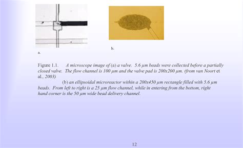 figure 1 1 from molecular computation with automated microfluidic