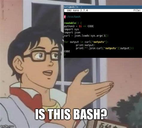 is this bash r programmerhumor