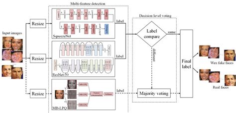 Block Diagram Of The Proposed Detection Scheme Dashed Lines Indicate Download Scientific